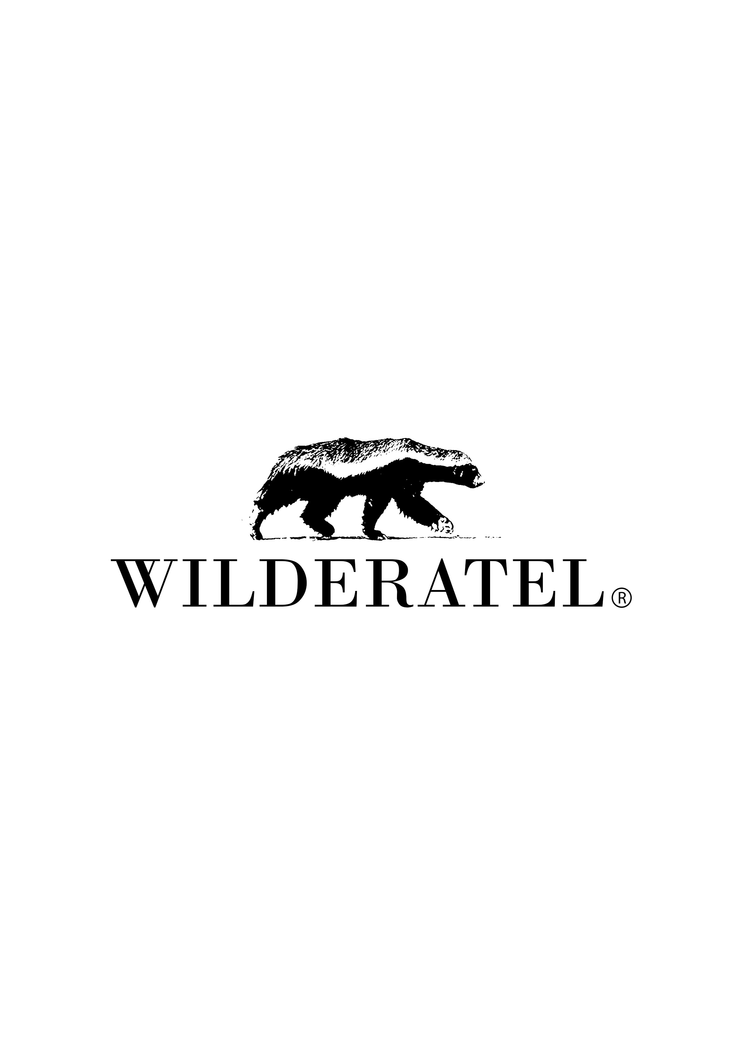 Bosveld Afrikaners African Wildlife Safari Vinyl Decal Stickers Bakkie ...