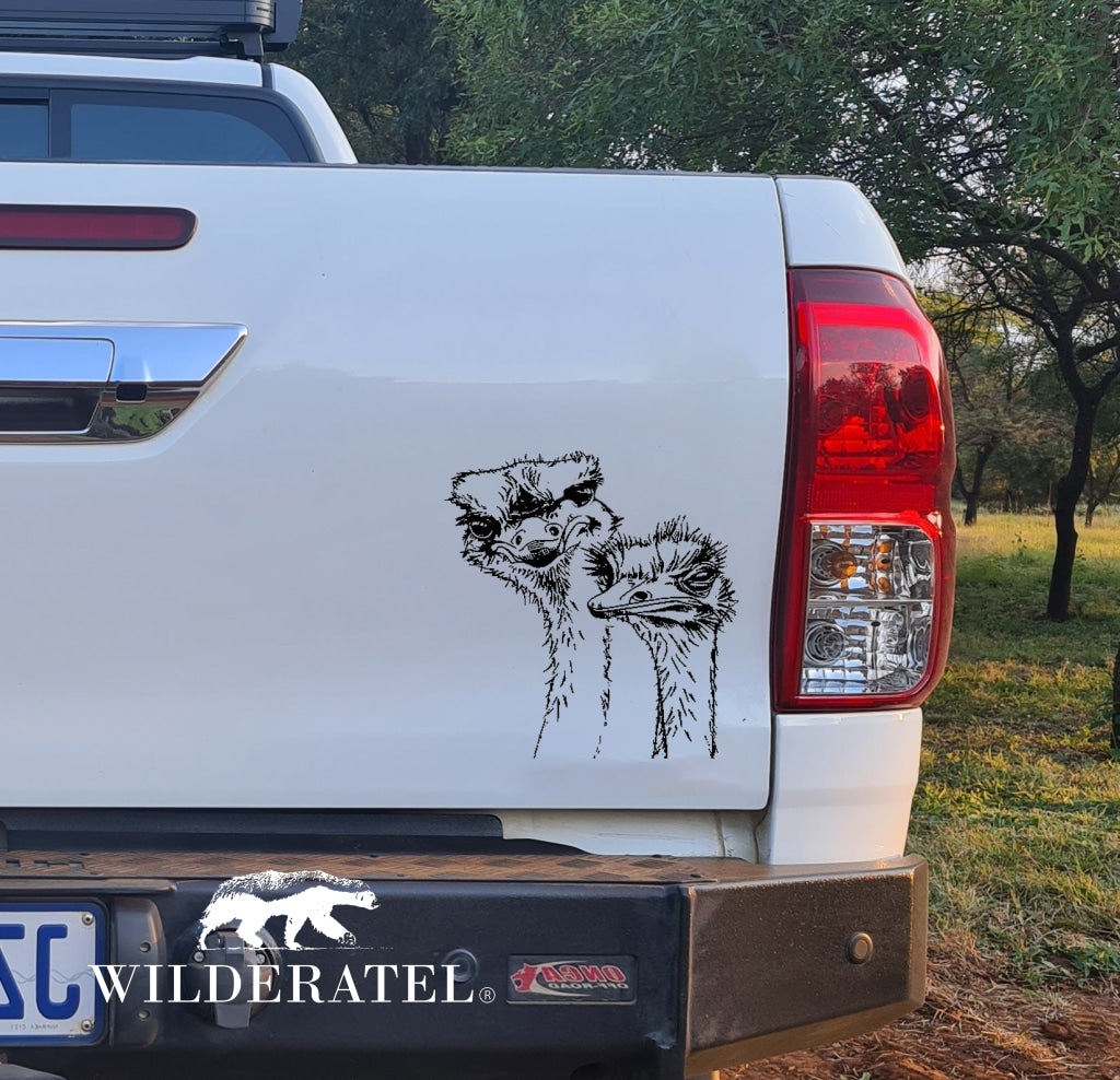Volstruis Ostrich Bakkie Vehicle Vinyl Decal Sticker Kit South Africa ...